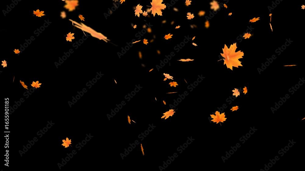 Falling autumn maple leaves animation with transparent background and ...