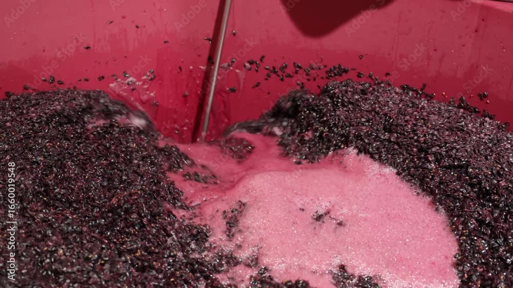 Close-up of red grape maceration with juice and skins mixing during the ...