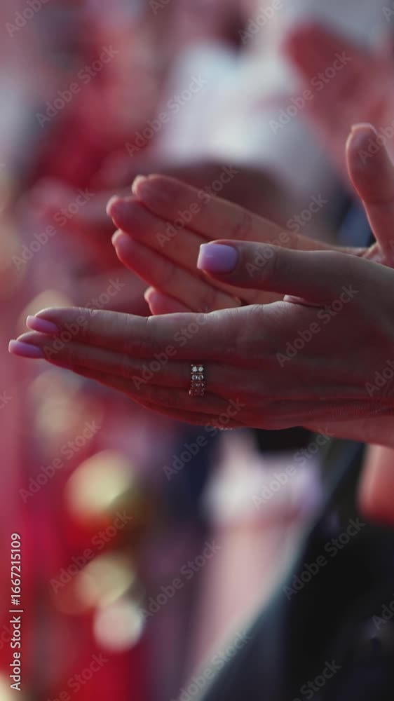 Actors, celebrities and stars on red carpet, guests and fans cheer an ...