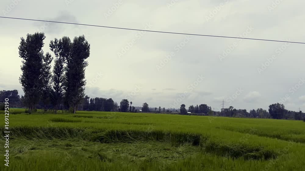 Water Floods in Kashmir India, Jhelum River Overflow, September 2025 ...
