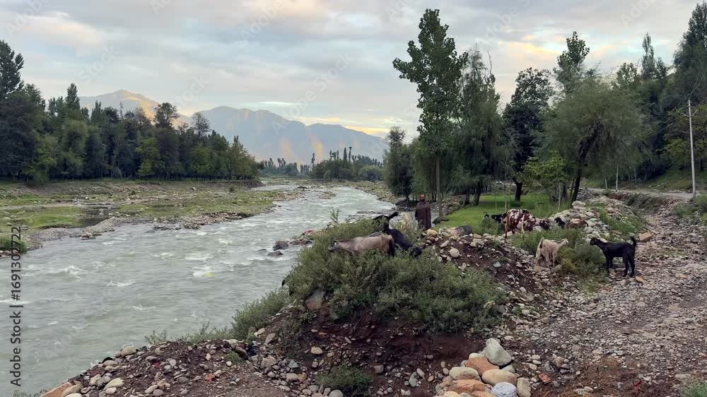 Water Floods in Kashmir India, Jhelum River Overflow, September 2025 ...