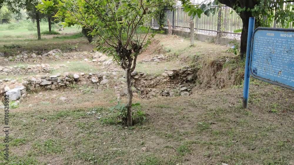 Ancient Bhir Mound Ruins in Taxila Pakistan Revealing Achaemenid to ...