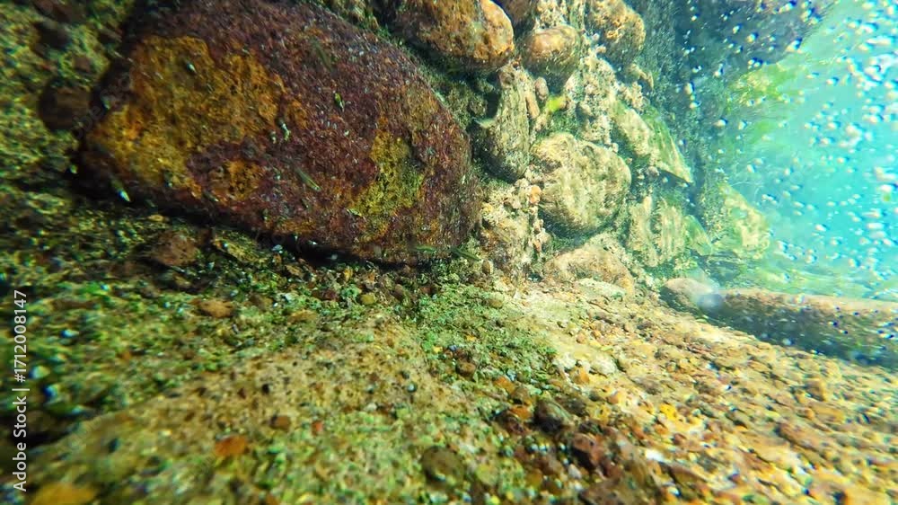 Several rare and endangered native fish species, along with other non ...