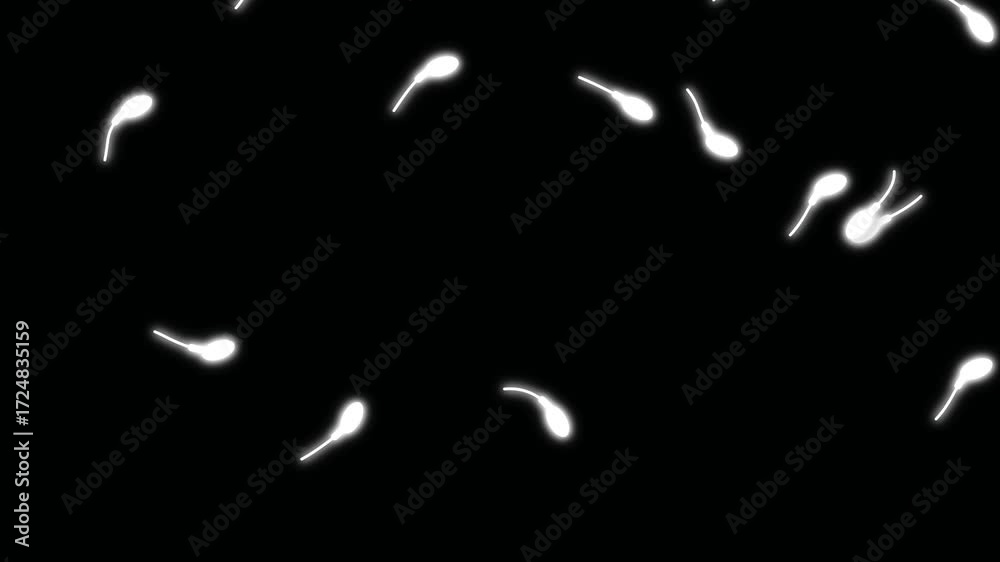 Sperm dive attack- Human sperm swimming on black background. The race ...