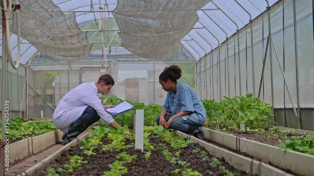 Young agriculture student learning seedling care in educational farming ...