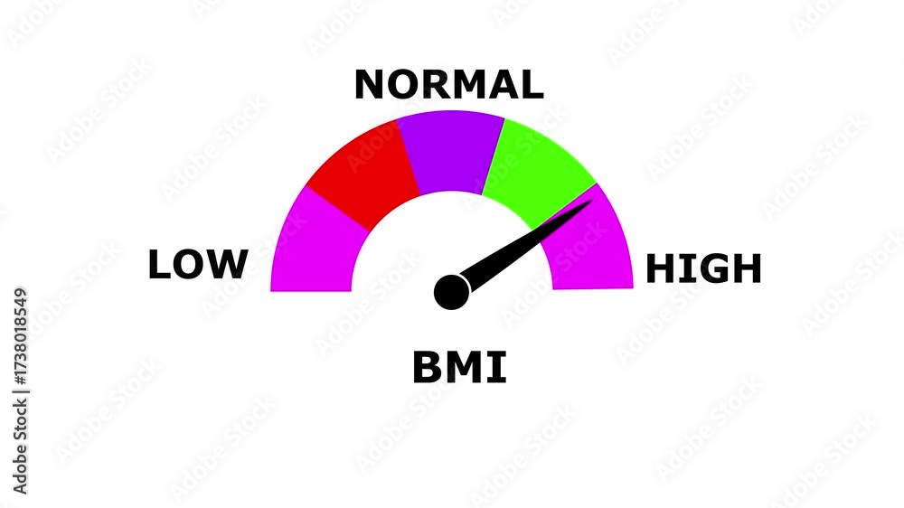 BMI Mass Meter Animation.Measuring BMI from Low to High Levels ...