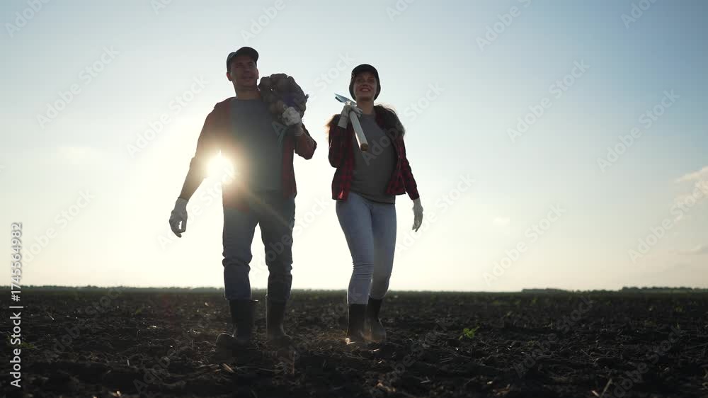 Family silhouette at sunset carrying potatoes. Potato farming teamwork ...
