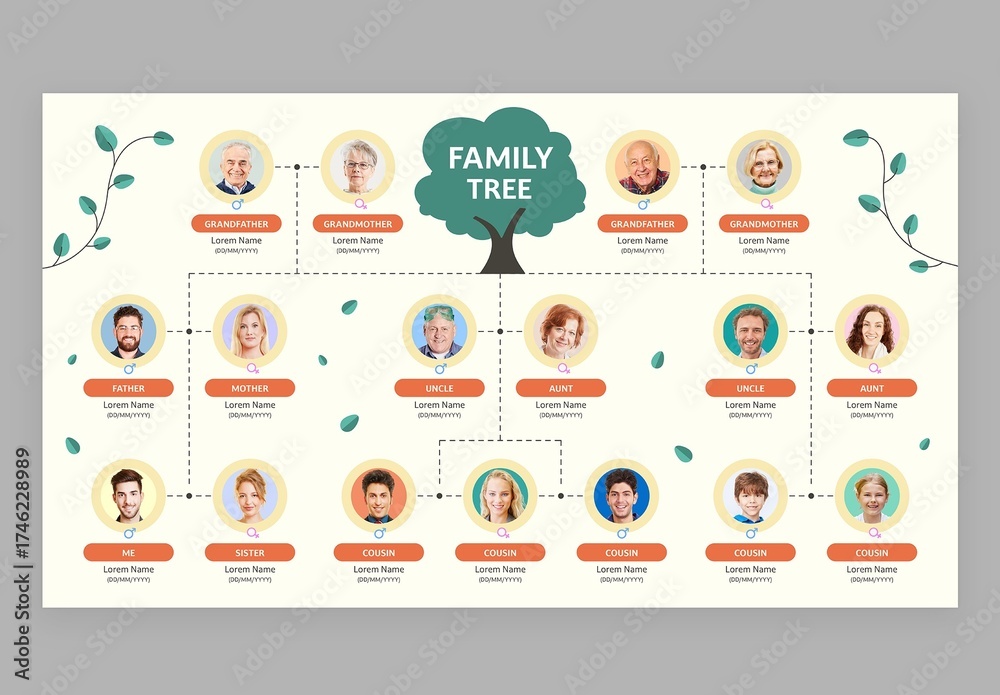Family Tree Infographic Vector & Org Chart Layout with Cute Education ...