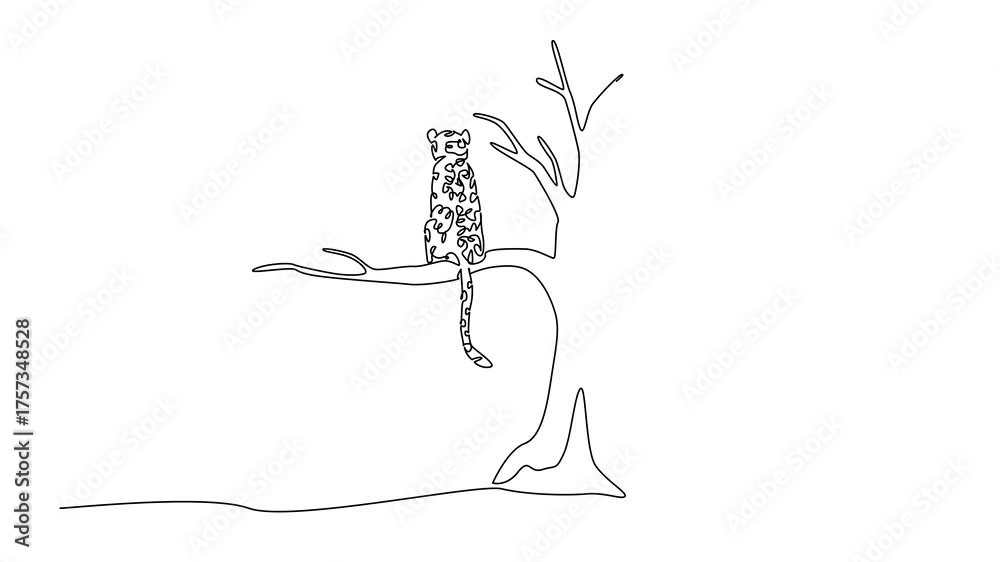 Self drawing animation of continuous one line drawing leopard sitting ...