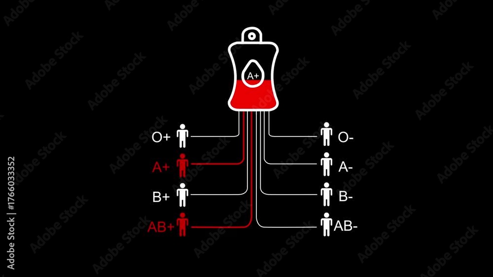 Blood type compatibility chart with A positive blood bag and compatible ...