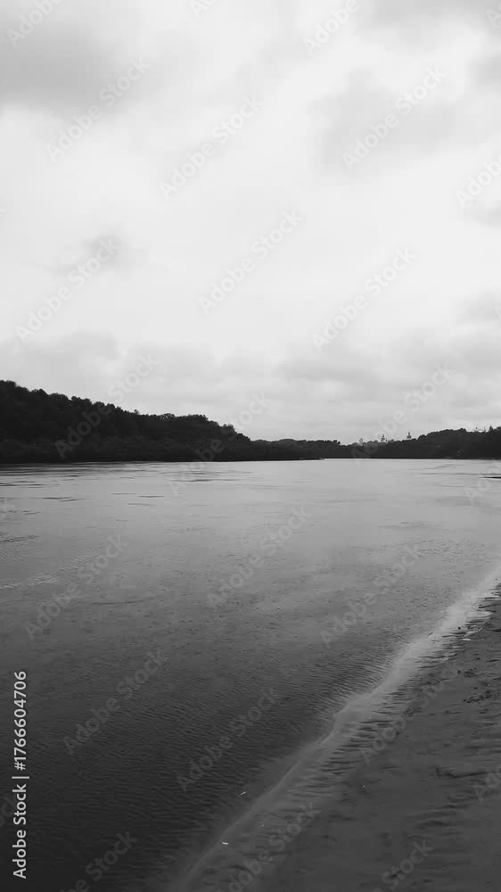 Dark moody landscape, river bank, Grey nature, creepy atmosphere ...