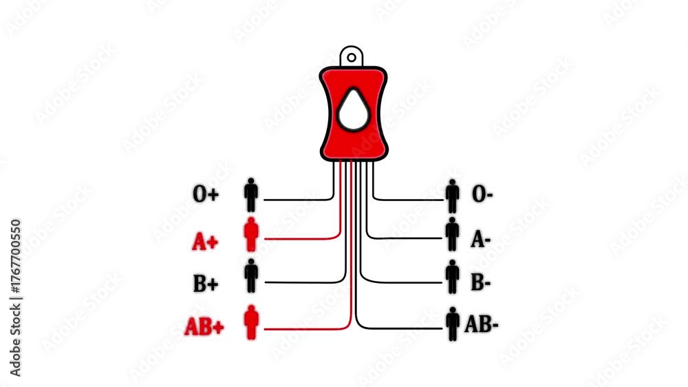 Blood type compatibility chart showing universal donor and recipient ...
