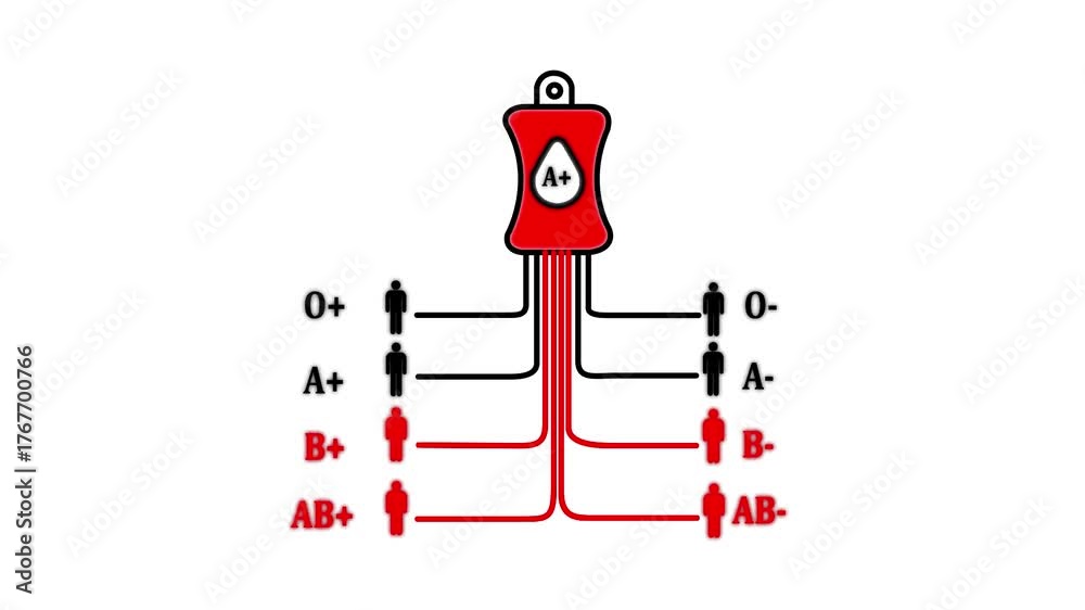 Blood type compatibility chart with B negative blood bag and compatible ...