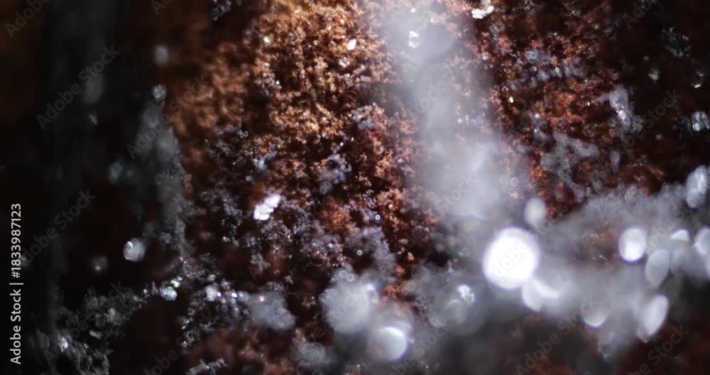 Ash Particles after Combustion of Inorganic Substance under Microscope ...