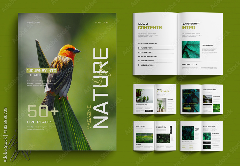 Natural Theme Magazine Layout Design Stock Template | Adobe Stock