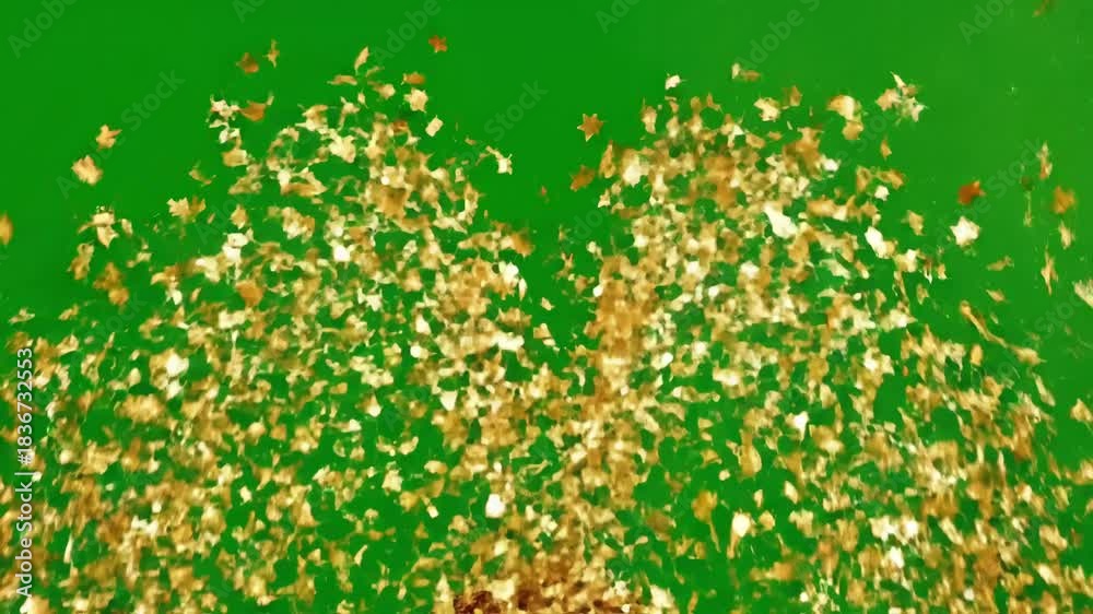 Shimmering Explosion with golden bidirectional confetti on chroma key ...