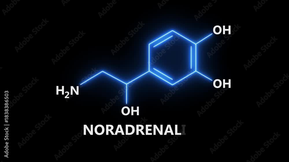 neon Noradrenaline, Nora, Norad Chemical Formula Structure on black ...