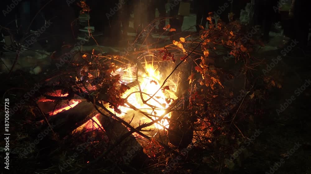Orthodox Christmas celebration. Burning the Badnjak, fire with oak tree ...