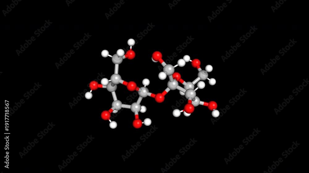 Sucrose (Sugar) Molecule 3D Model 4K Alpha Loop Chemical Structure ...