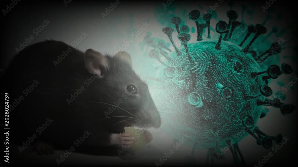 Hantavirus Pulmonary Syndrome Outbreak Concept. Microscopic Virus ...
