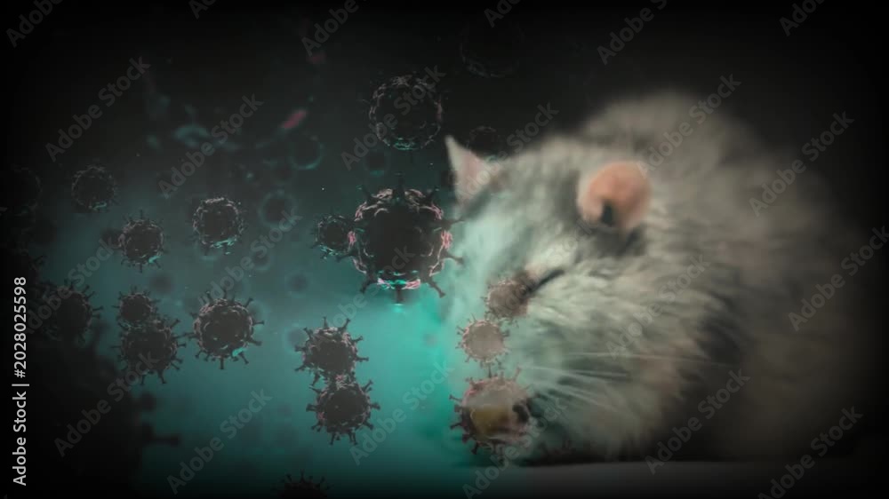 Hantavirus Pulmonary Syndrome Outbreak Concept. Microscopic Virus ...