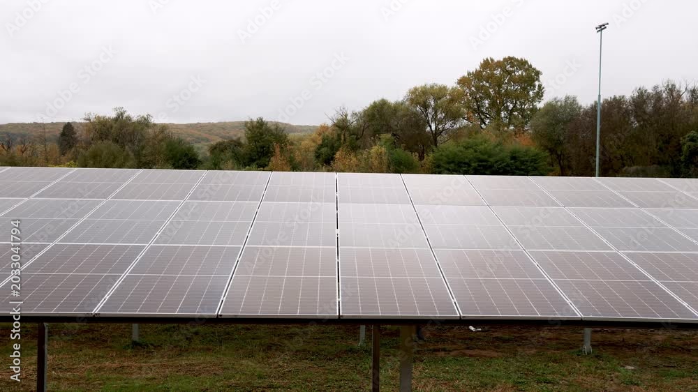 Immense Field Of Groundmounted Solar Panels Reflecting Gentle Sunlight ...