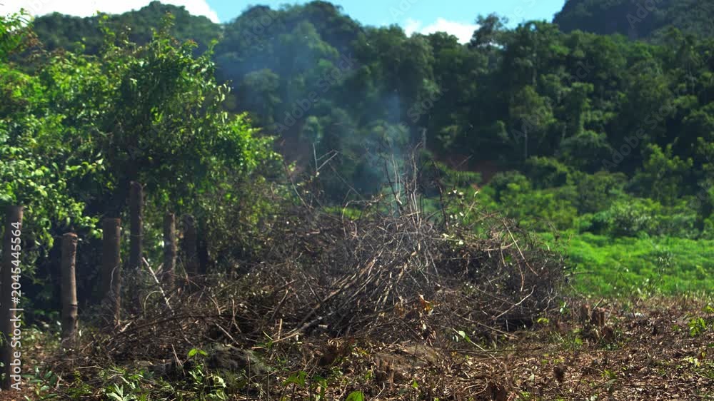 The Burning Season in Laos: Agricultural Fire and Rice Preparation ...